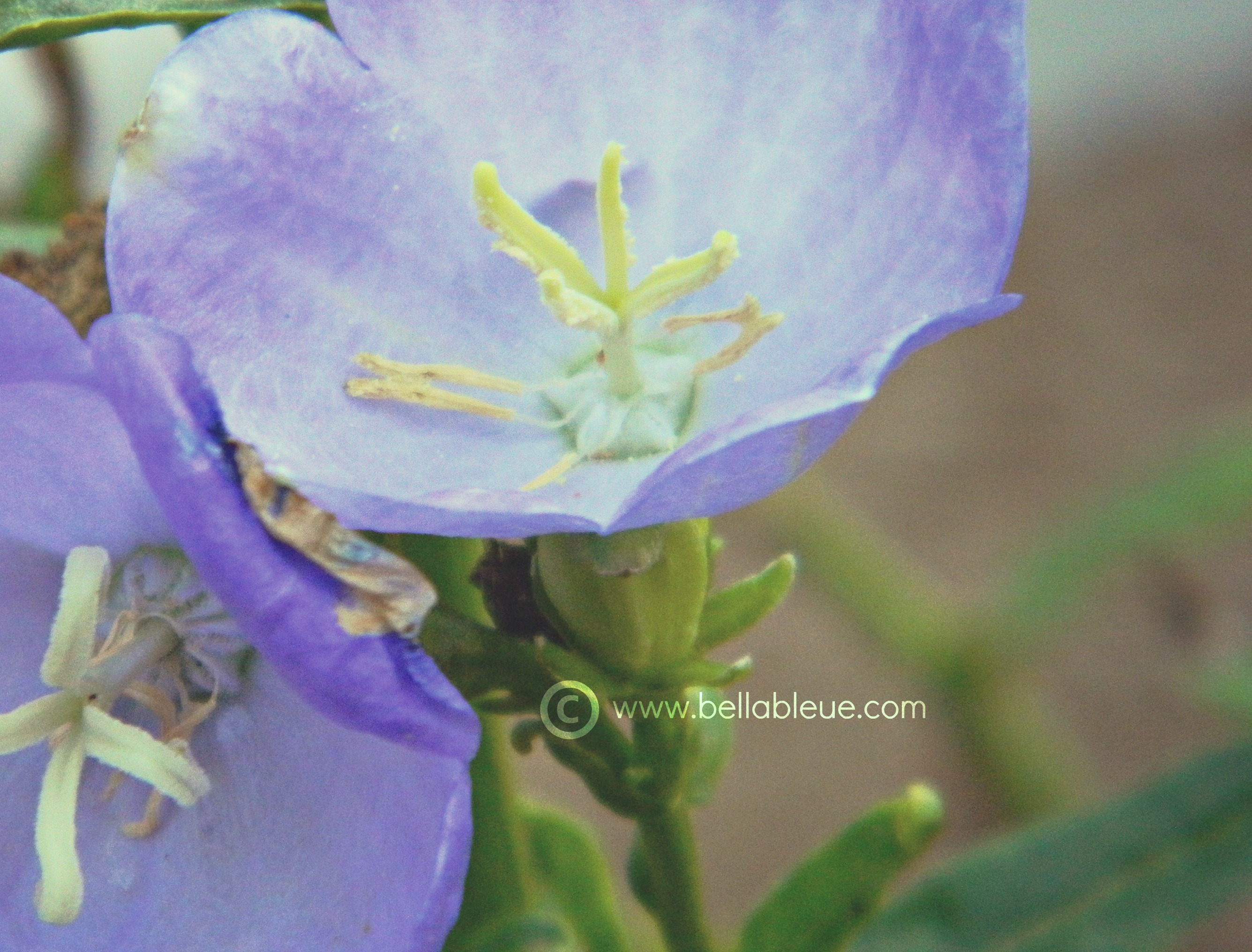 You Have Purpose Just as You Are