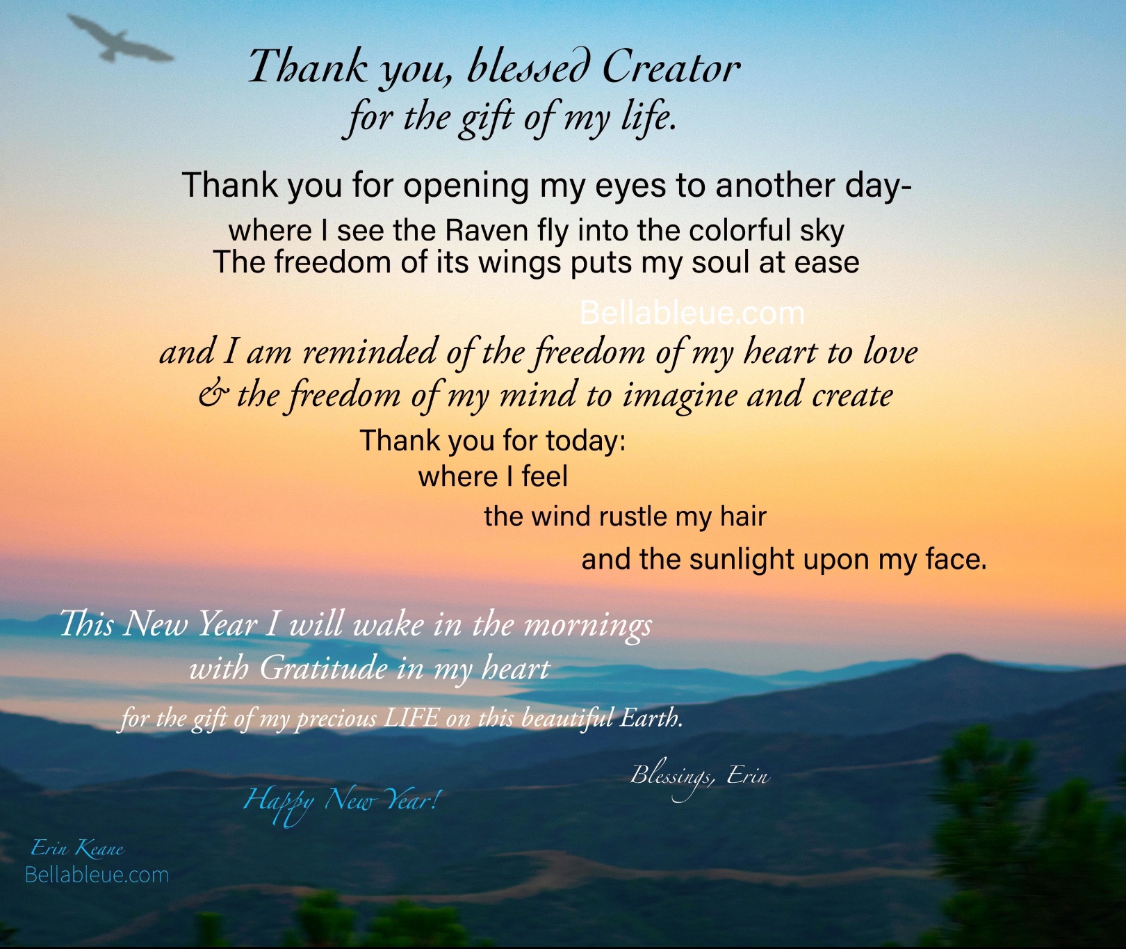 Happy New Year 2024!